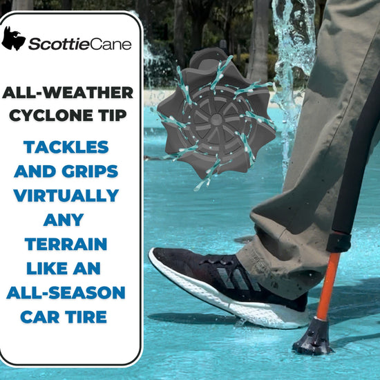 Scottie Cane – Scottie Canes